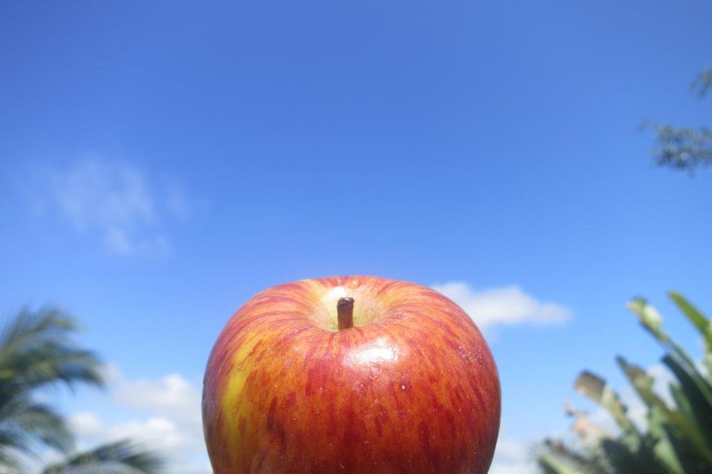 Edgar Cayce’s 3-Day Apple Fast – LightCenter – LightCenter